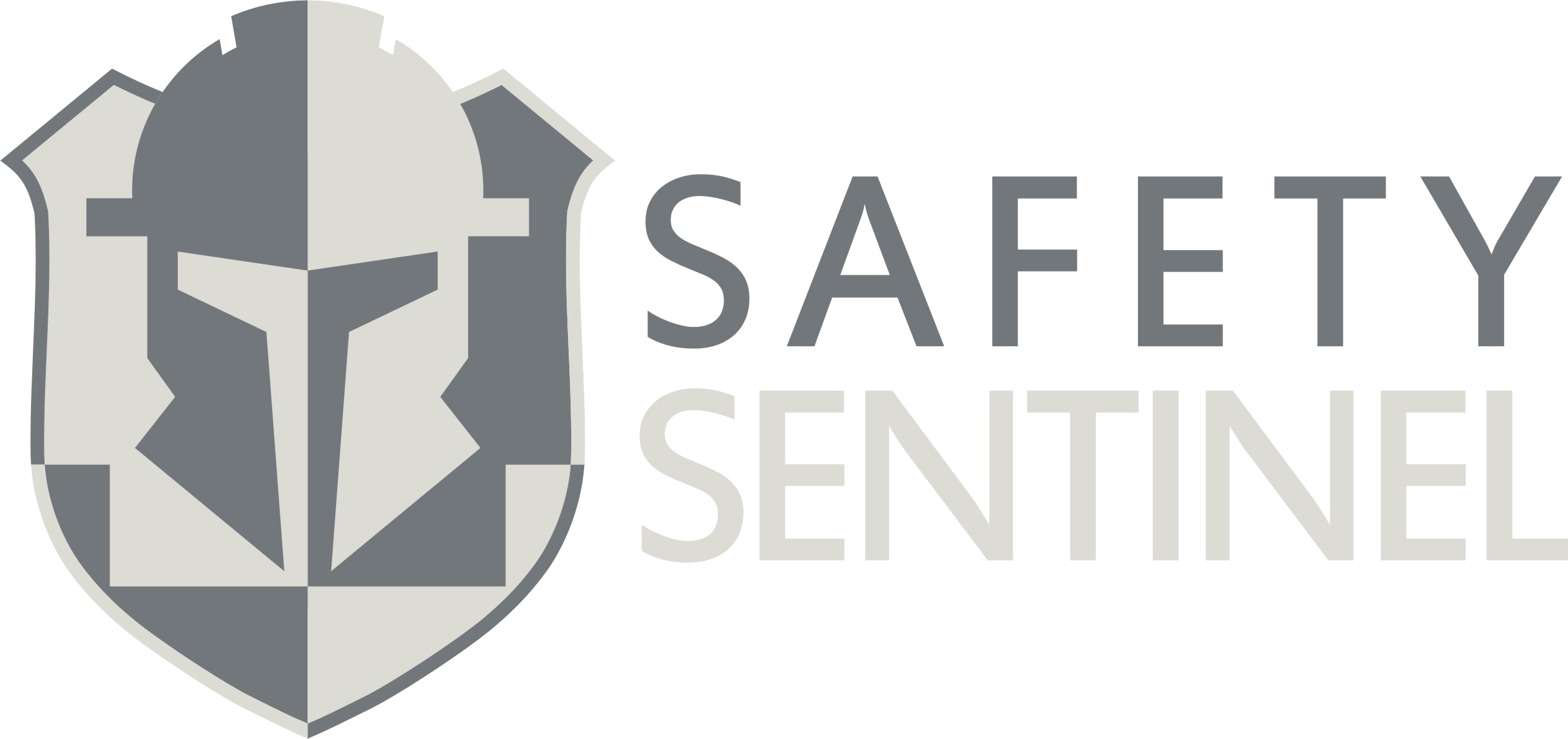 Safety Sentinel – Safety Sentinel